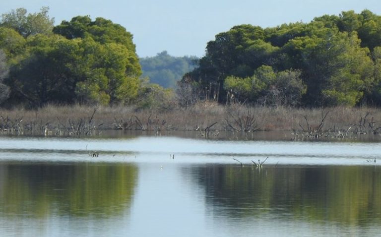 Natura 2000 në Shqipëri: rasti i kompleksit "Nartë-Pishë- Poro” - PPNEA
