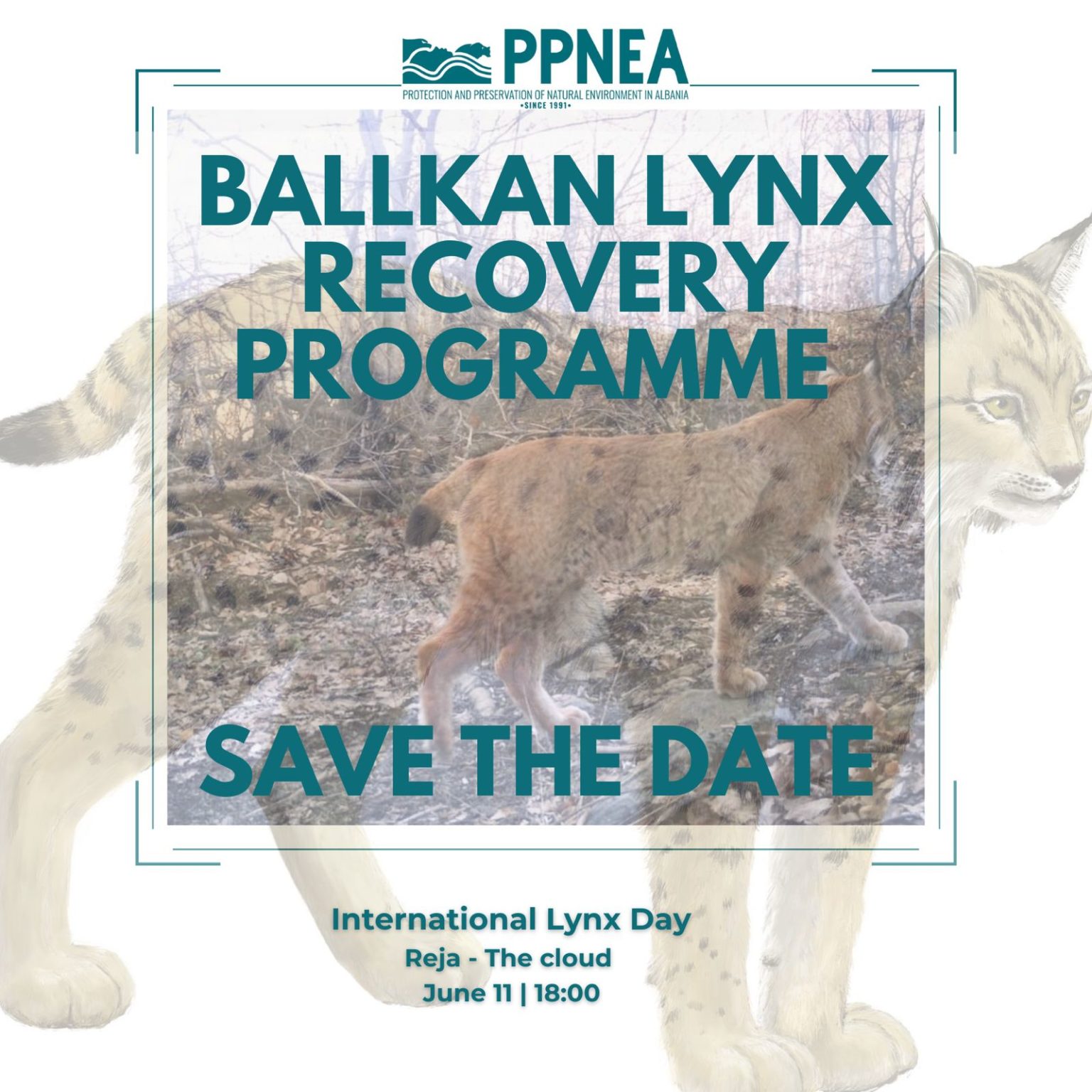 CELEBRATION OF INTERNATIONAL LYNX DAY - PPNEA