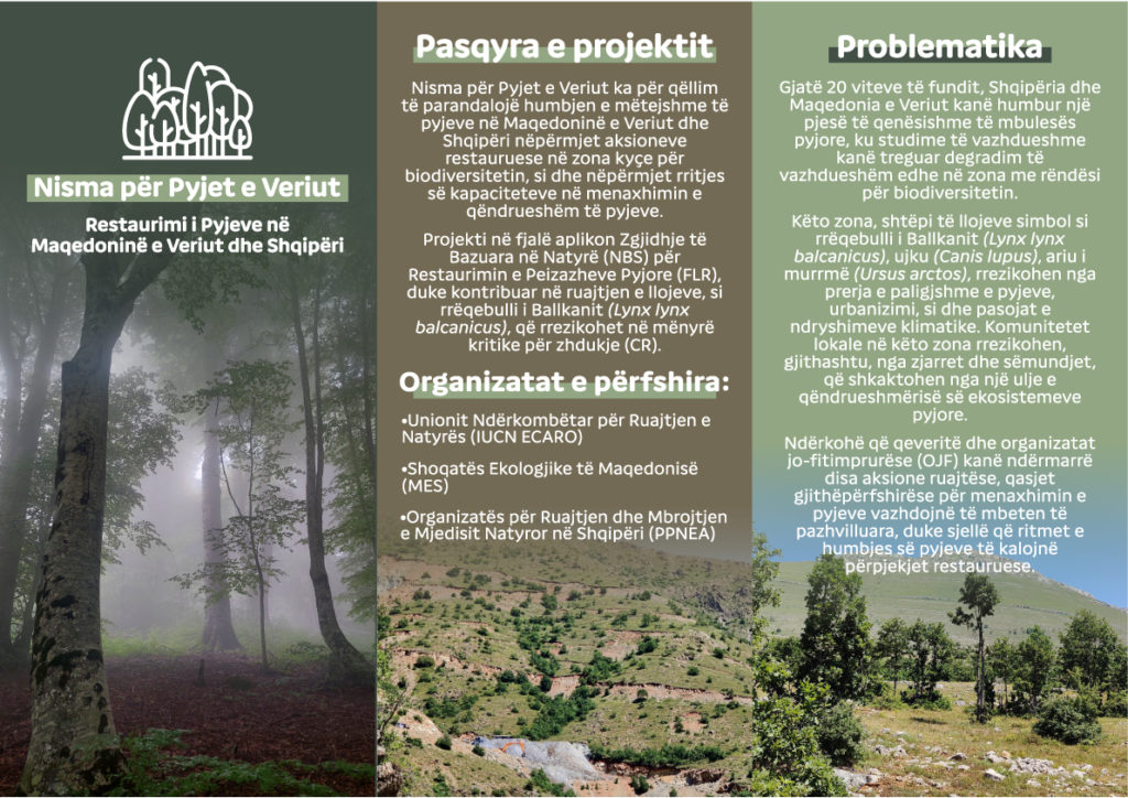 Nisma për pyjet e veriut - PPNEA