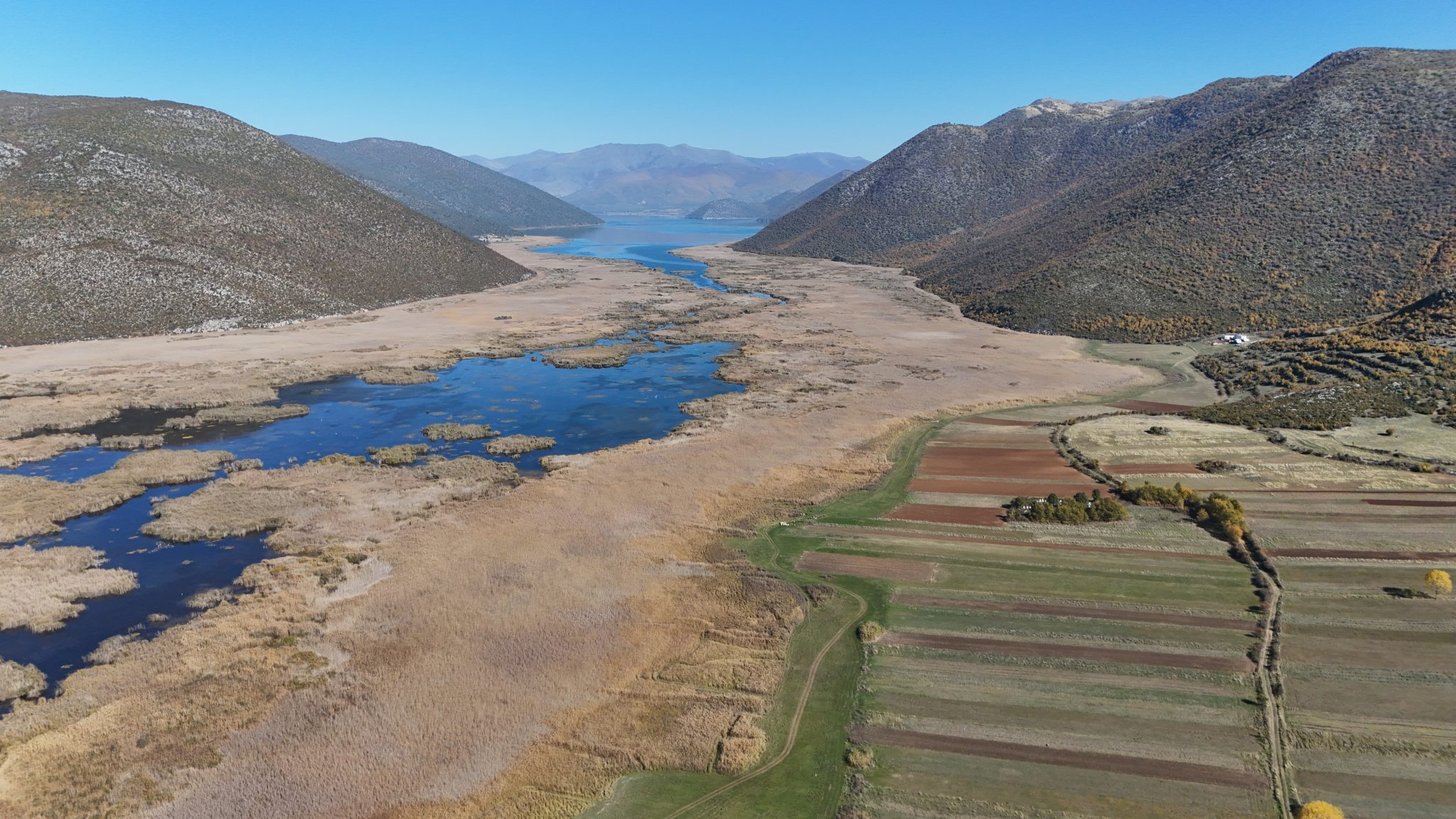 Call for Abstracts - International Large Carnivores Habitat Management ...