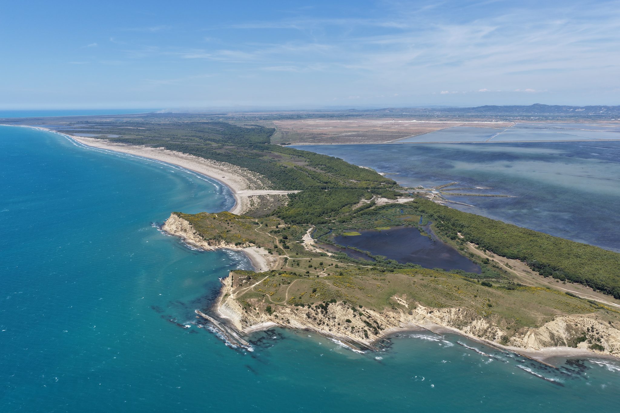 Press Release – Environmental Organizations Call for Suspension of ...